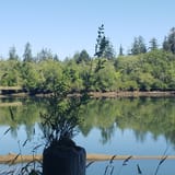 Friend's Landing Trail, Washington - 153 Reviews, Map | AllTrails