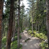 Mitchell Lake Trail, Colorado - 541 Reviews, Map | AllTrails