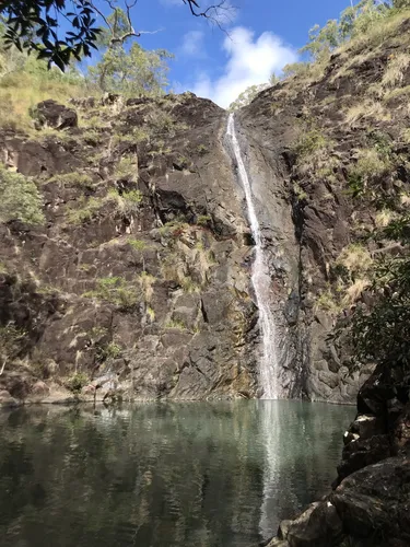Best Waterfall Trails in Cardwell | AllTrails