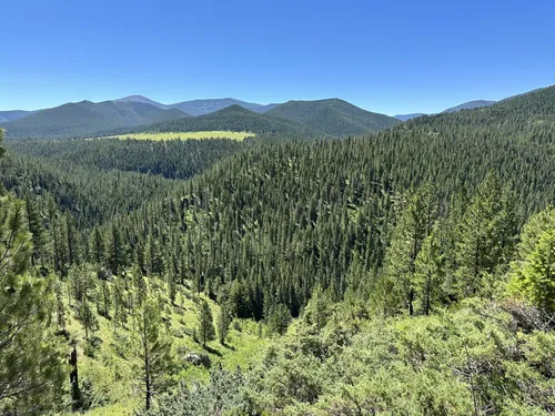 Best Forest Trails in Monarch | AllTrails