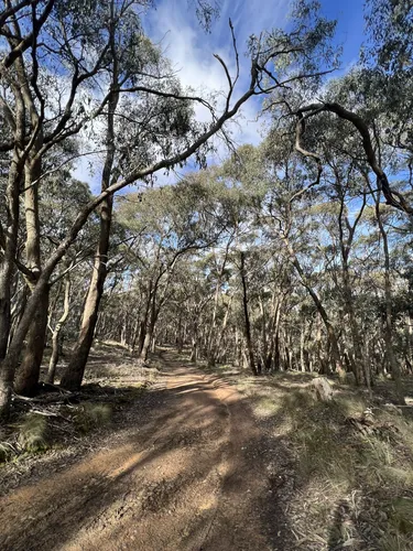 10 Best Off Road Driving Trails in Victoria | AllTrails