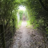 Kingsdown and Walmer Circular, Kent, England - 60 Reviews, Map | AllTrails