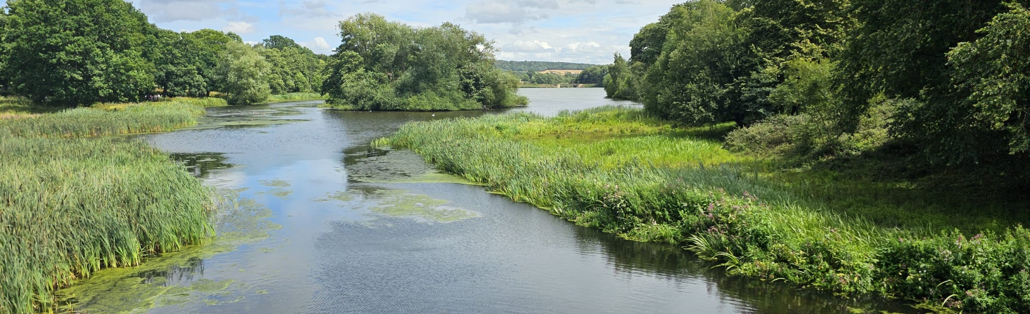 Yorkshire Sculpture Park, West Yorkshire, England - 31 Reviews, Map ...