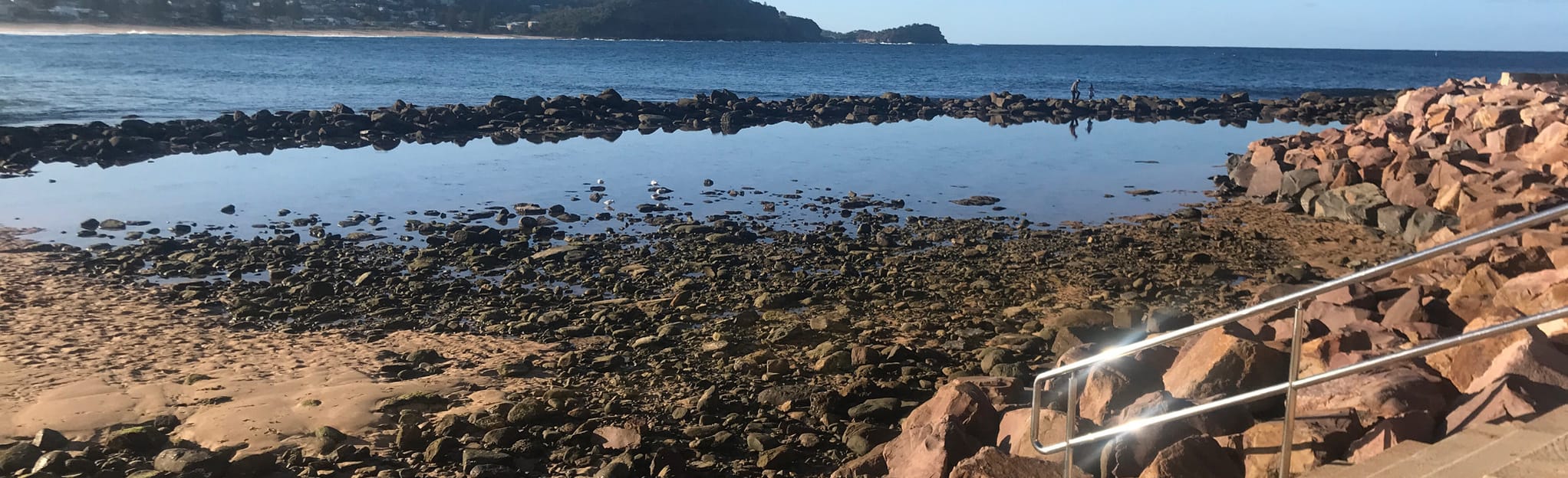 AllTrails | Avoca Rock Shelf and Rock Pools: 8 Reviews, Map - New South ...