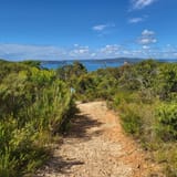 Bouddi Coastal Walk: Little Beach to Putty Beach, New South Wales ...