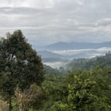 Kemensah - Bukit Pau Extended Trail, Selangor, Malaysia - 401 Reviews ...