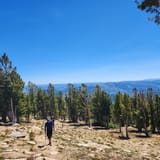 Trapper Peak Trail, Montana - 263 Reviews, Map | AllTrails