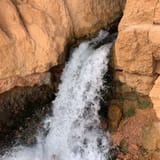 Cascade Falls, Utah - 741 Reviews, Map | AllTrails