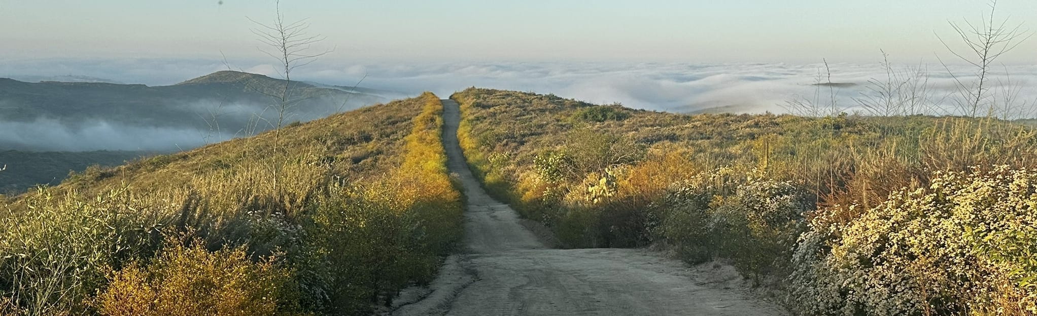 Pacific Ridge, Moro Canyon and Boomer Ridge Trail Loop, California ...