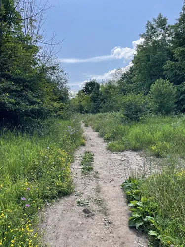 Best Hikes and Trails in Georgian Peaks | AllTrails