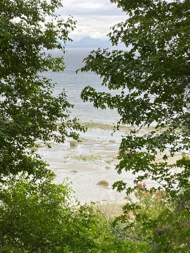 Best Beach Trails in Merville | AllTrails