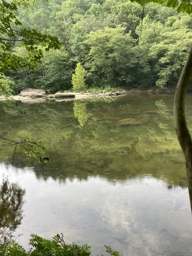 Best Hikes and Trails in Obed Wild and Scenic River | AllTrails