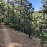 Chamisa Trail, New Mexico - 1,174 Reviews, Map | AllTrails