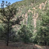Chamisa Trail, New Mexico - 1,174 Reviews, Map | AllTrails