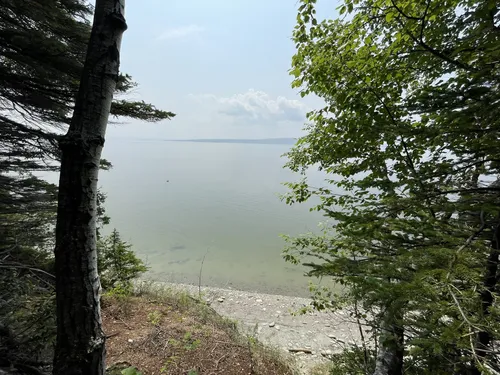 Best Hikes and Trails in Miguasha National Park | AllTrails