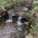 Tunk Mountain Ridge Trail, Maine - 413 Reviews, Map | AllTrails