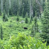 Upper Two Medicine Lake via Two Medicine South Shore Trail, Montana ...