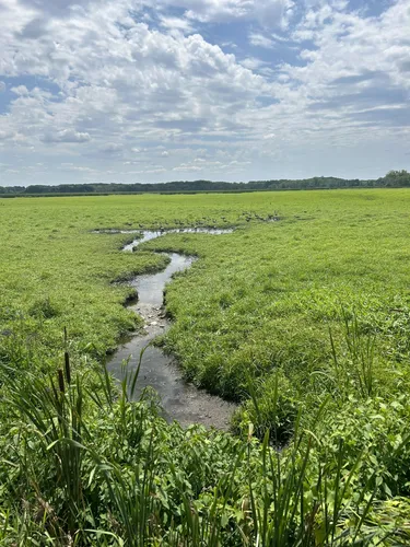 Best Hikes and Trails in Horicon Marsh State Public Hunting Grounds ...
