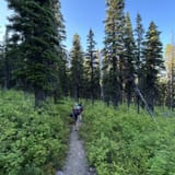 Upper Two Medicine Lake via Two Medicine South Shore Trail, Montana ...