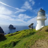Cape Brett Track, Northland, New Zealand - 185 Reviews, Map | AllTrails
