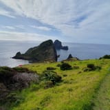 Cape Brett Track, Northland, New Zealand - 185 Reviews, Map | AllTrails
