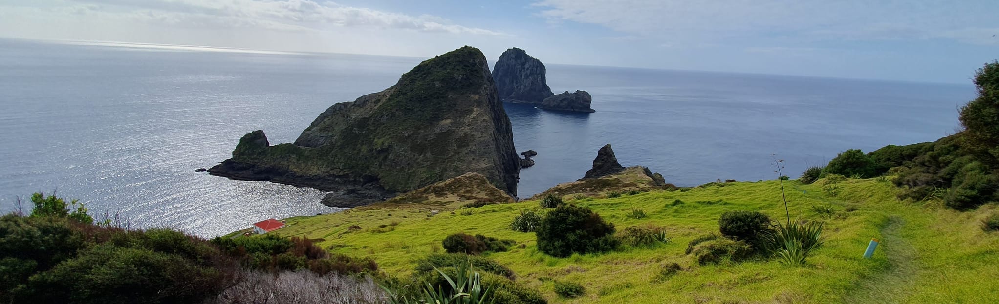 Cape Brett Track, Northland, New Zealand - 145 Reviews, Map | AllTrails