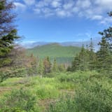Resurrection Pass Trail, Alaska - 250 Reviews, Map | AllTrails