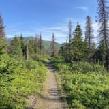 Resurrection Pass Trail, Alaska - 250 Reviews, Map | AllTrails
