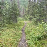 Resurrection Pass Trail, Alaska - 250 Reviews, Map | AllTrails