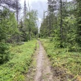 Resurrection Pass Trail, Alaska - 250 Reviews, Map | AllTrails