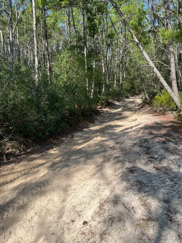 2023 Best 10 Off Road Driving Trails in Florida | AllTrails