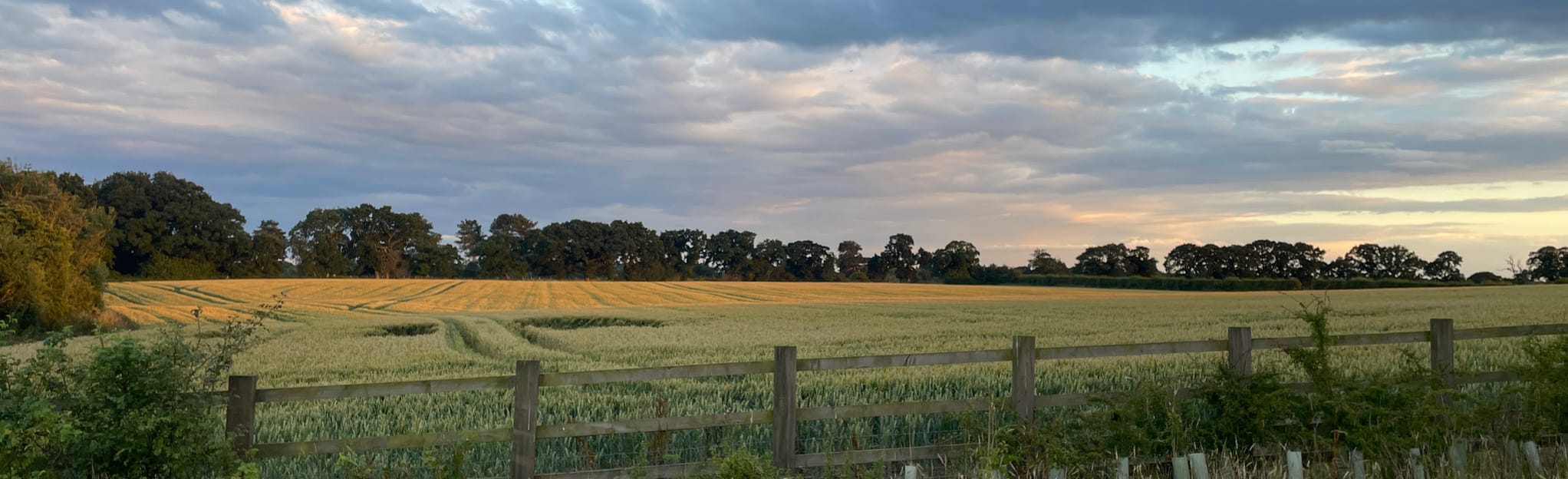 Morpeth Circular: 15 Reviews, Map - Northumberland, England | AllTrails