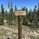 Cinnamon Mountain Trail, Montana - 231 Reviews, Map | AllTrails