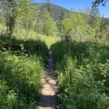Cinnamon Mountain Trail, Montana - 231 Reviews, Map | AllTrails