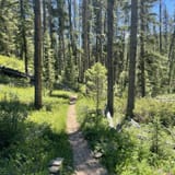 Cinnamon Mountain Trail, Montana - 231 Reviews, Map | AllTrails