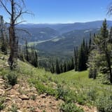 Cinnamon Mountain Trail, Montana - 231 Reviews, Map | AllTrails
