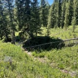 Cinnamon Mountain Trail, Montana - 231 Reviews, Map | AllTrails