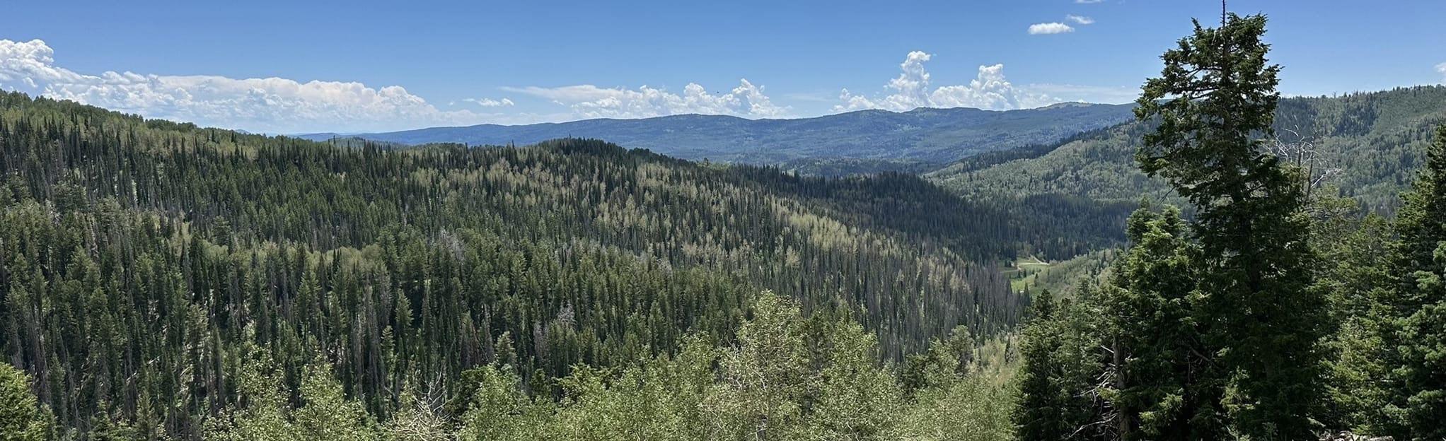 The Bender, Utah - 11 Reviews, Map | AllTrails