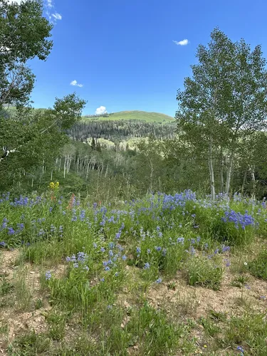 Best Hikes and Trails in Uintah and Ouray Indian Reservation | AllTrails