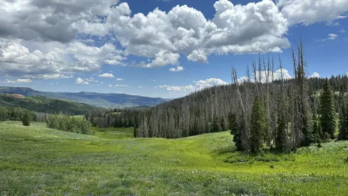 Best Hikes and Trails in Uintah and Ouray Indian Reservation | AllTrails