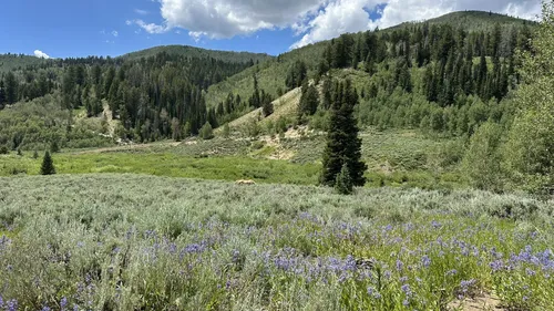 Best Hikes and Trails in Uintah and Ouray Indian Reservation | AllTrails