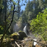 Begbie Falls, British Columbia, Canada - 165 Reviews, Map | AllTrails