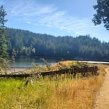 Bon Tempe Lake Loop, California - 1,720 Reviews, Map | AllTrails