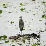 Nimisila Reservoir Trail, Ohio - 114 Reviews, Map | AllTrails