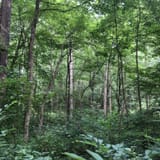 Rachel Carson Greenway Trail, Maryland - 975 Reviews, Map | AllTrails