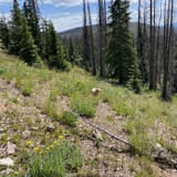 Hunters Lake Loop, Colorado - 19 Reviews, Map | AllTrails