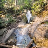 Syphon Falls Trail, British Columbia, Canada - 204 Reviews, Map | AllTrails