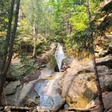 Syphon Falls Trail, British Columbia, Canada - 204 Reviews, Map | AllTrails