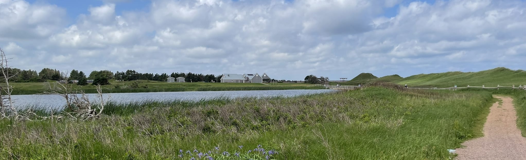 Cavendish Dunelands and Beach, Prince Edward Island, Canada - 146 ...