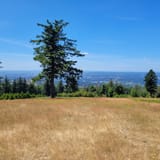 Ledgeview Extended Loop, British Columbia, Canada - 168 Reviews, Map ...